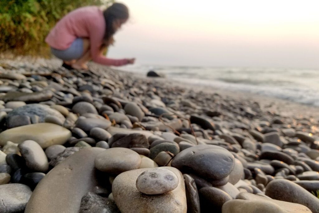Where To Find Petoskey Stones Rockhounding in Northern Michigan