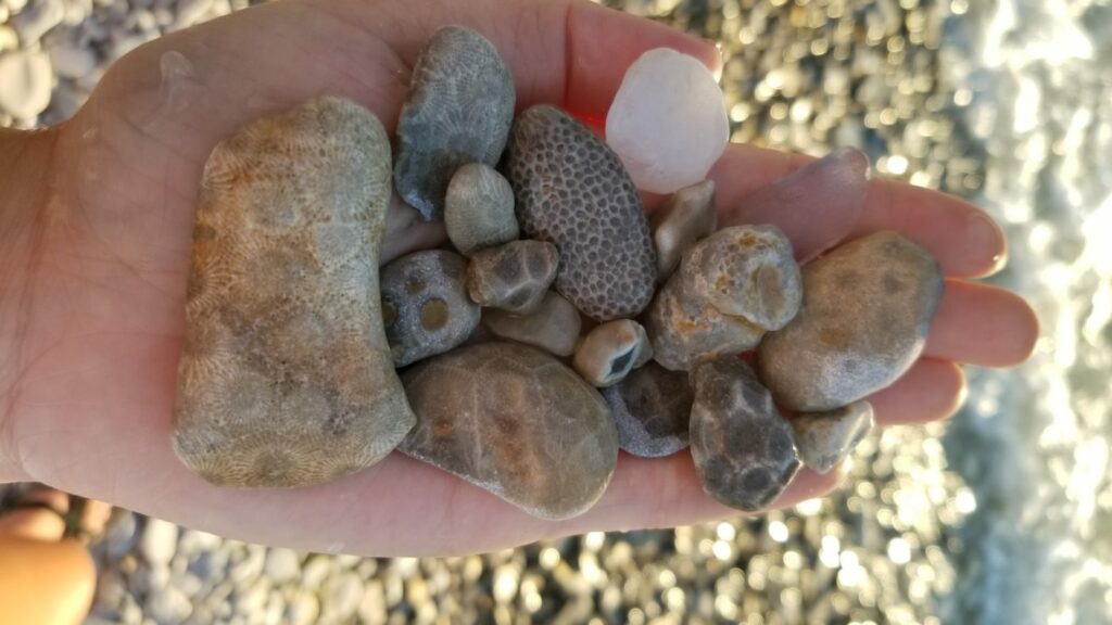 12 Collectible Rocks & Fossils To Find In The Great Lakes